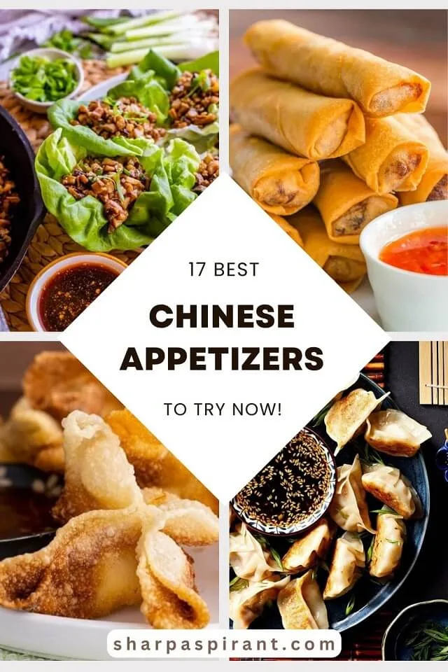 17 Best Chinese Appetizers To Try Now! - SHARP ASPIRANT